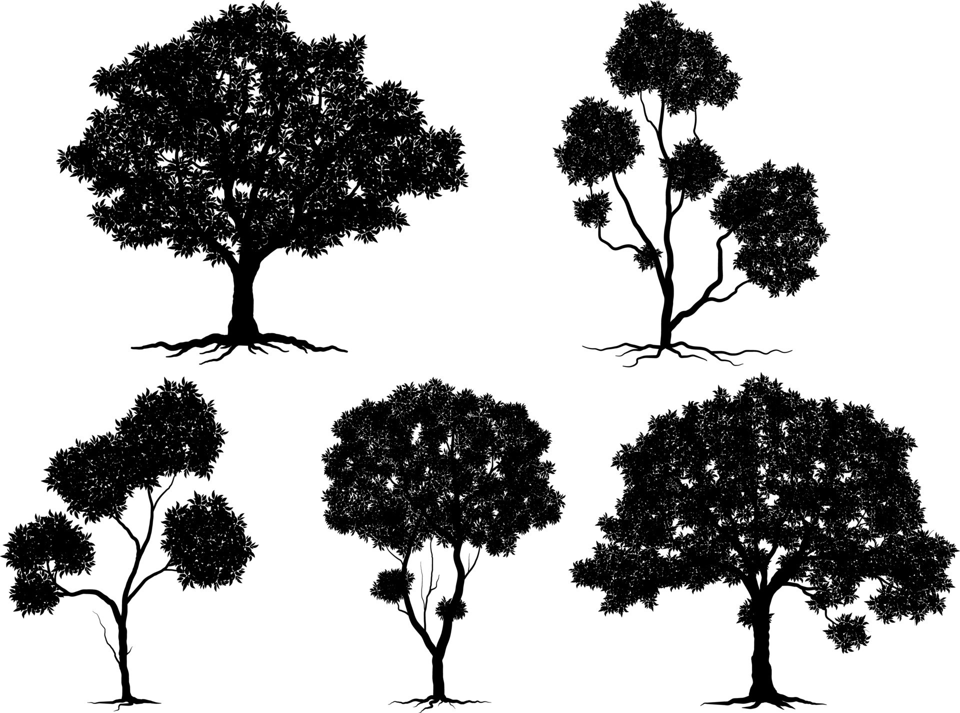 collection isolated tree Symbol silhouette style on white background ...