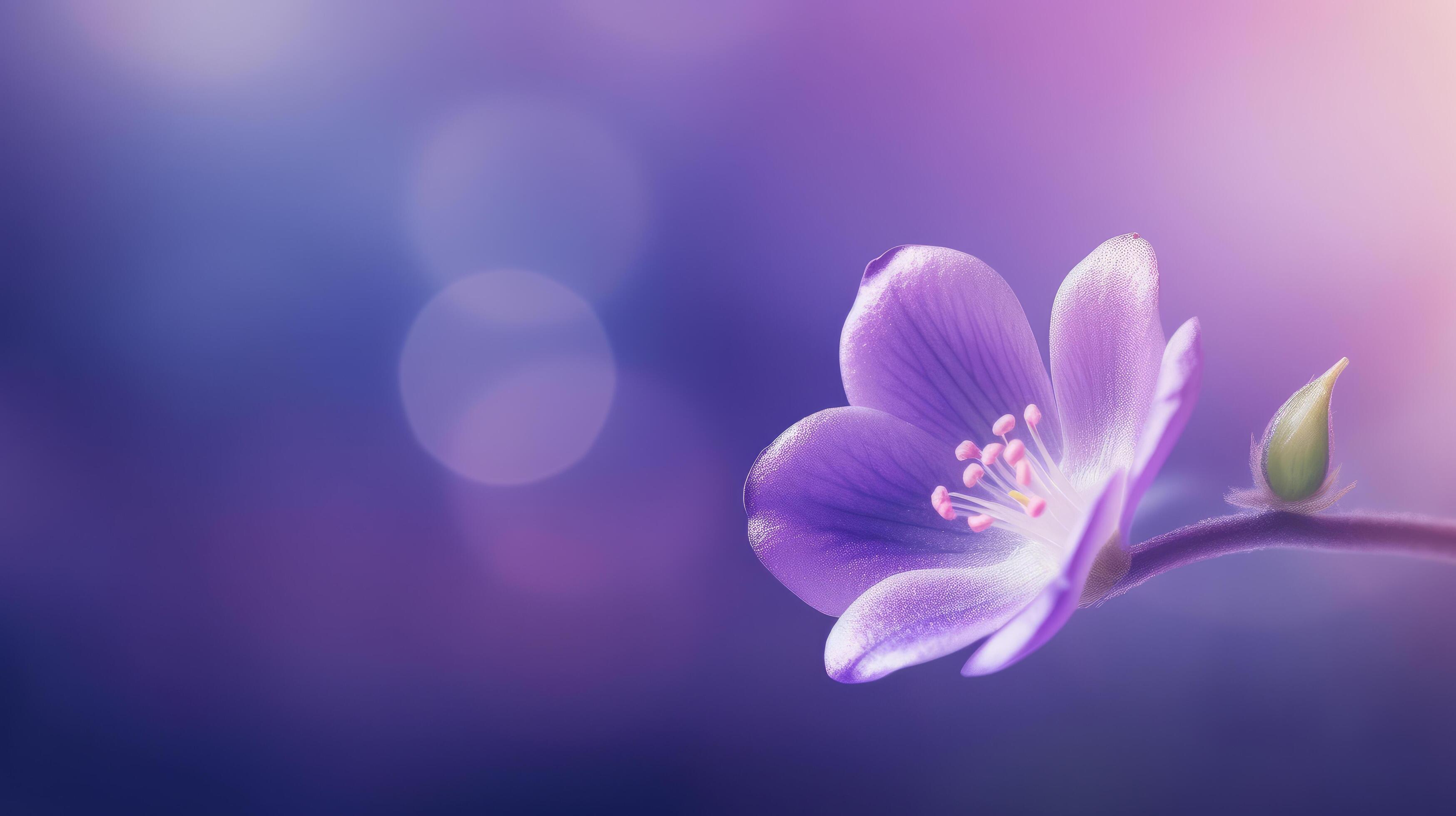 Violet flower background. Illustration 23636472 Stock Photo at Vecteezy