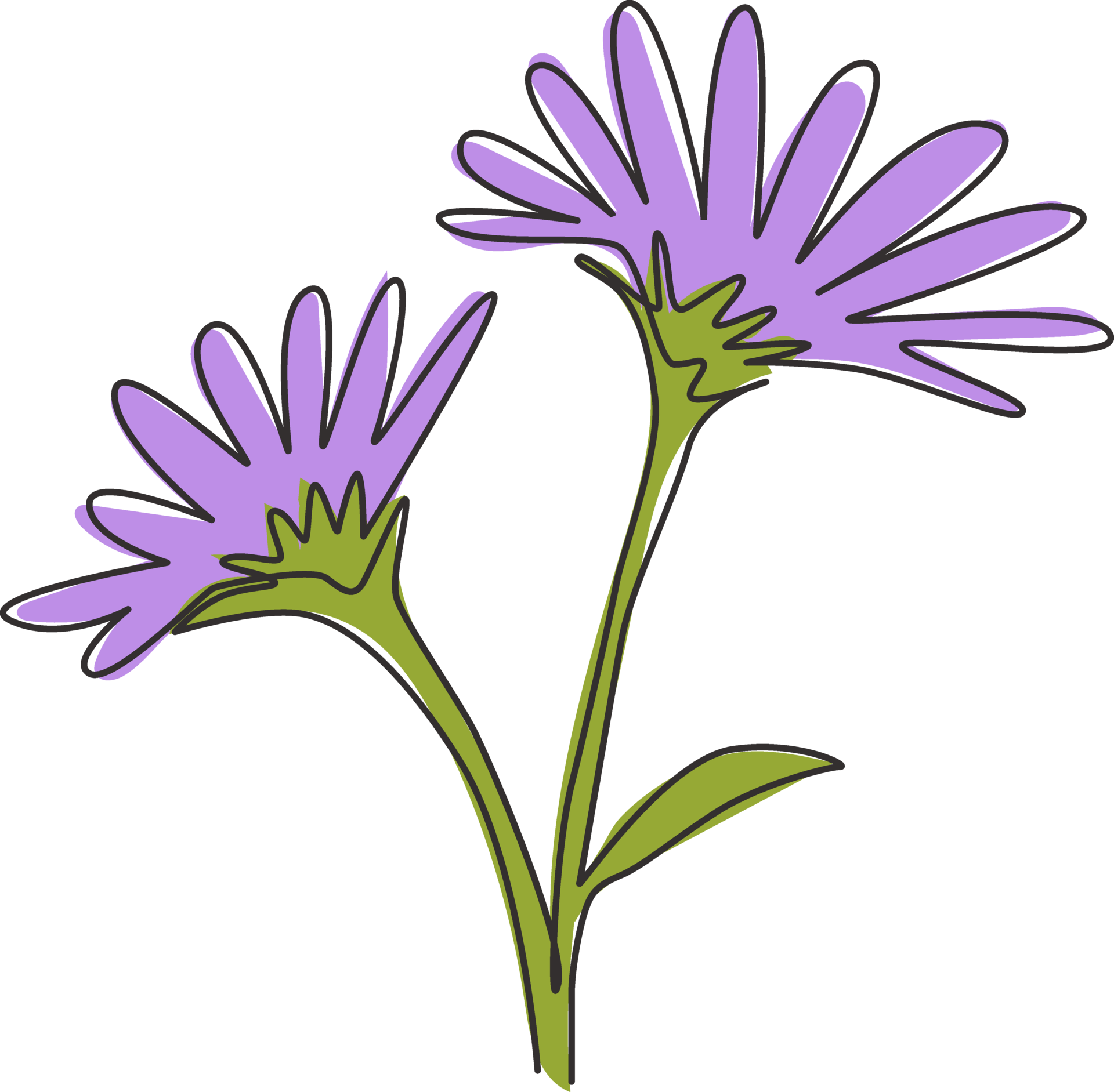 Single Continuous Line Drawing Of Beauty Fresh Perennial Plant For Home