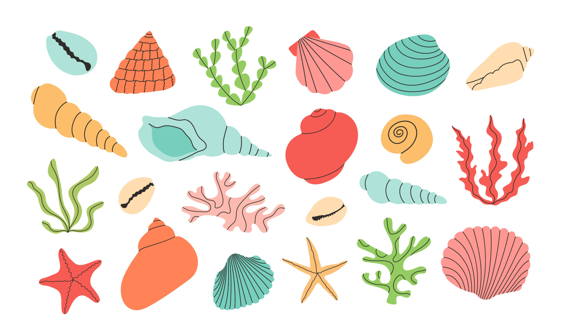 Beach Seashells Drawings