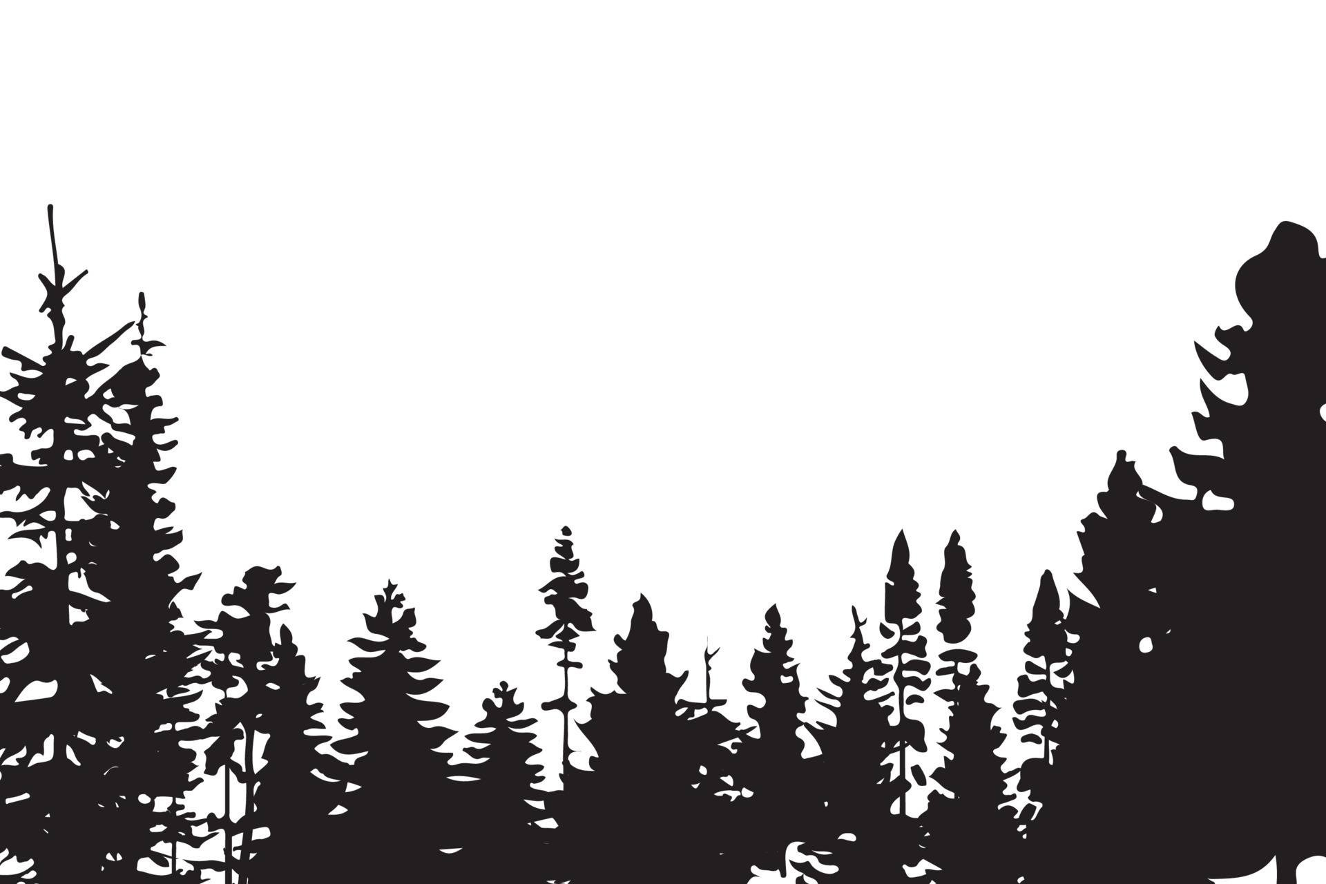 Vector collection of black pine trees on white background 23652042 ...