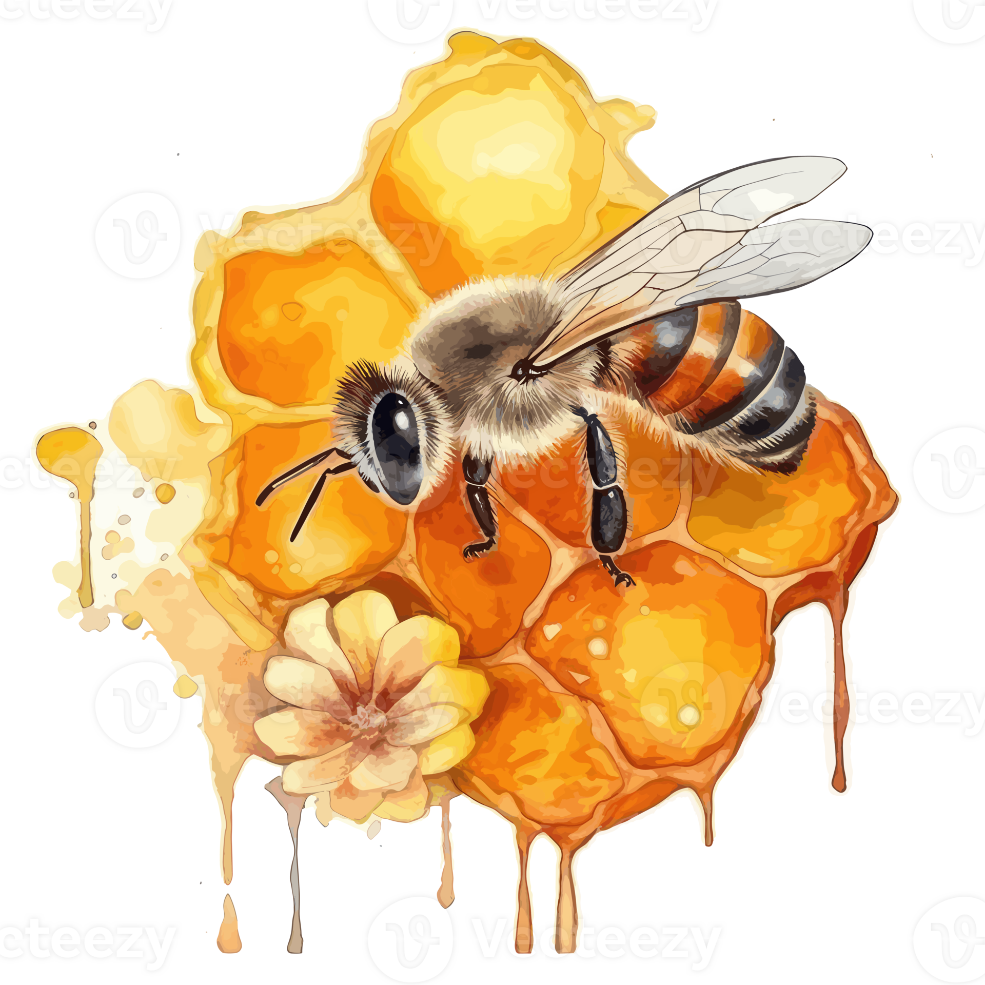watercolor bee honeycomb honey . 23657784 PNG