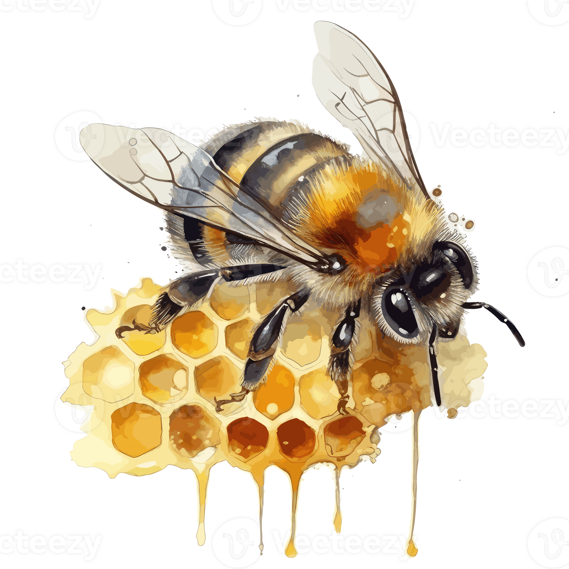watercolor bee honeycomb honey . 23657927 PNG