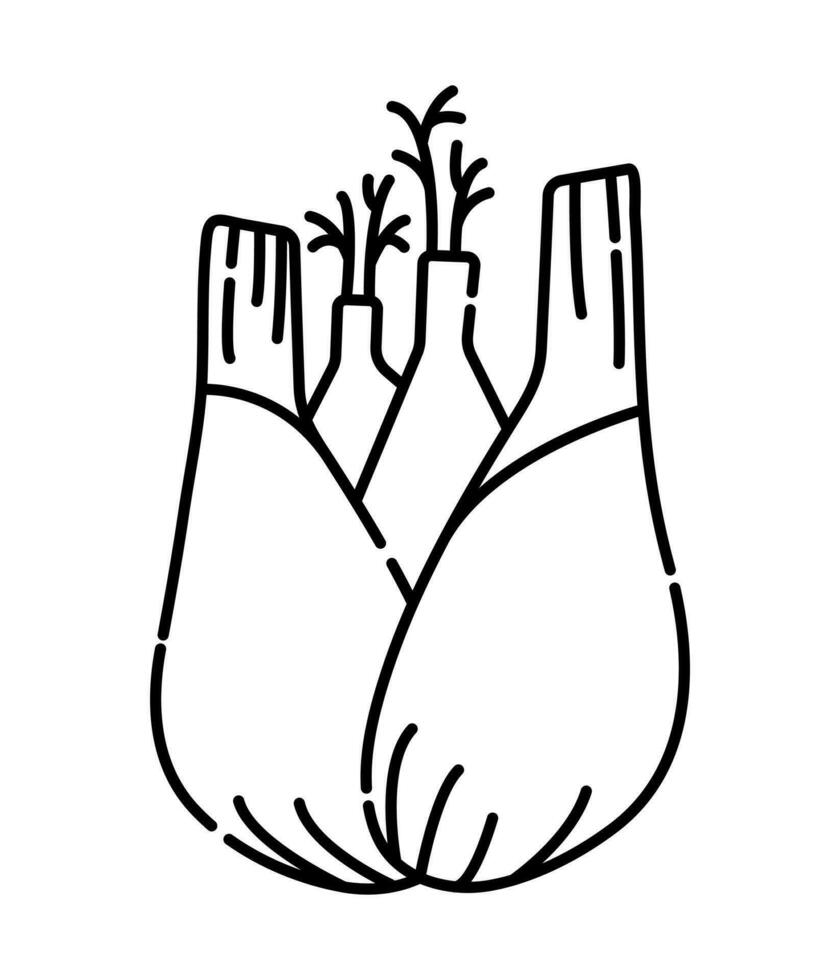 Fennel black and white vector line icon 23675352 Vector Art at Vecteezy Fennel black and white vector line icon 23675352 Vector Art at Vecteezy