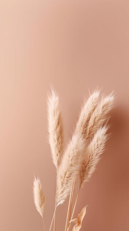 Pampas grass beige minimalist background. Illustration 23698254 Stock ... Pampas grass beige minimalist background. Illustration 23698254 Stock ...