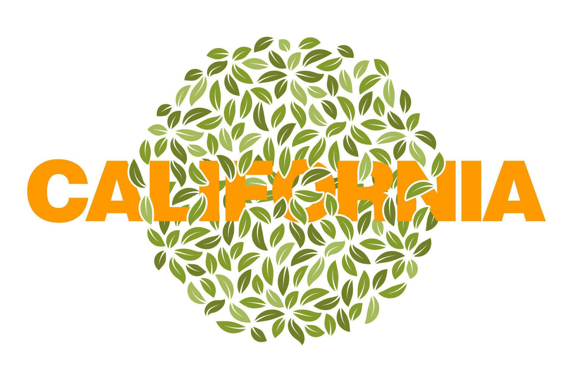 Summer Slogan For T Shirt With Word And Leaf Vacation Style Print Design In Vector 23732312