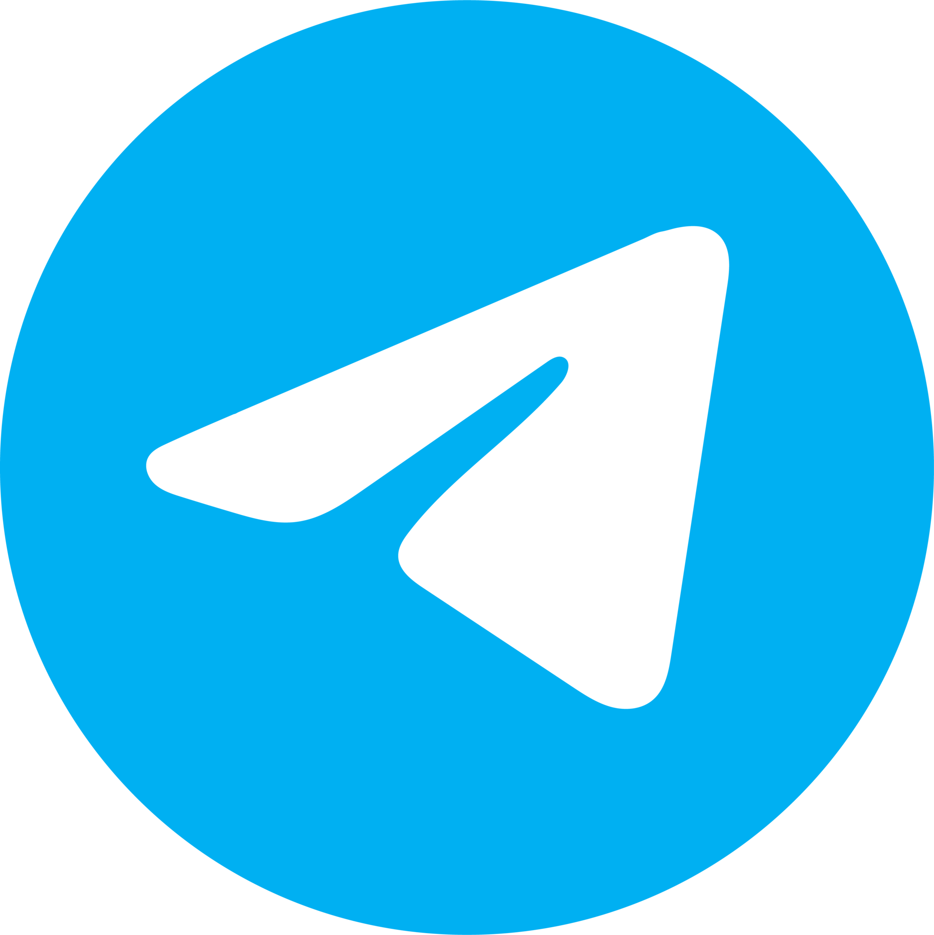 Telegram logo icon, social media icon 23741064 PNG Telegram logo icon, social media icon 23741064 PNG