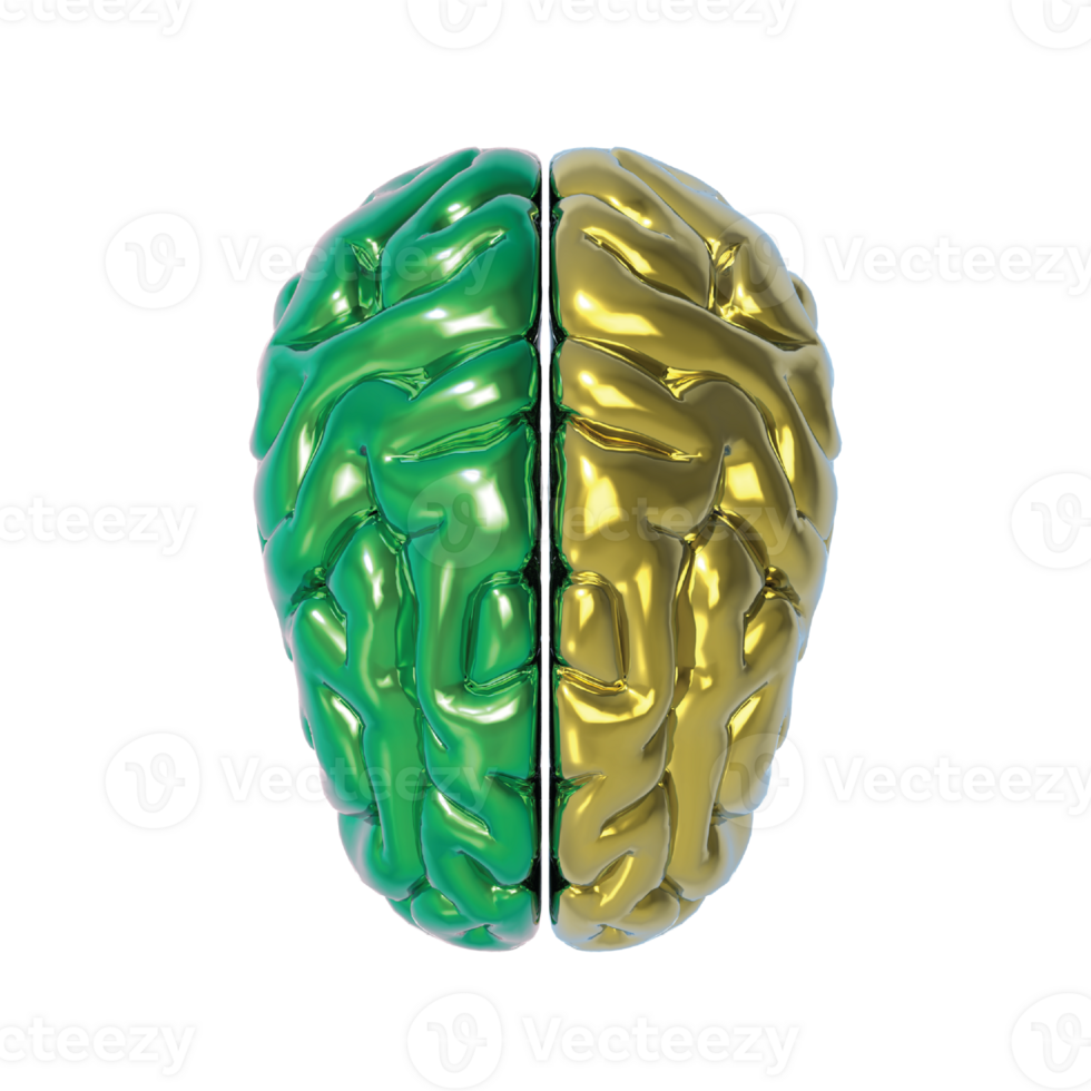 Brain Isolated 3d Rendering 23743534 Png