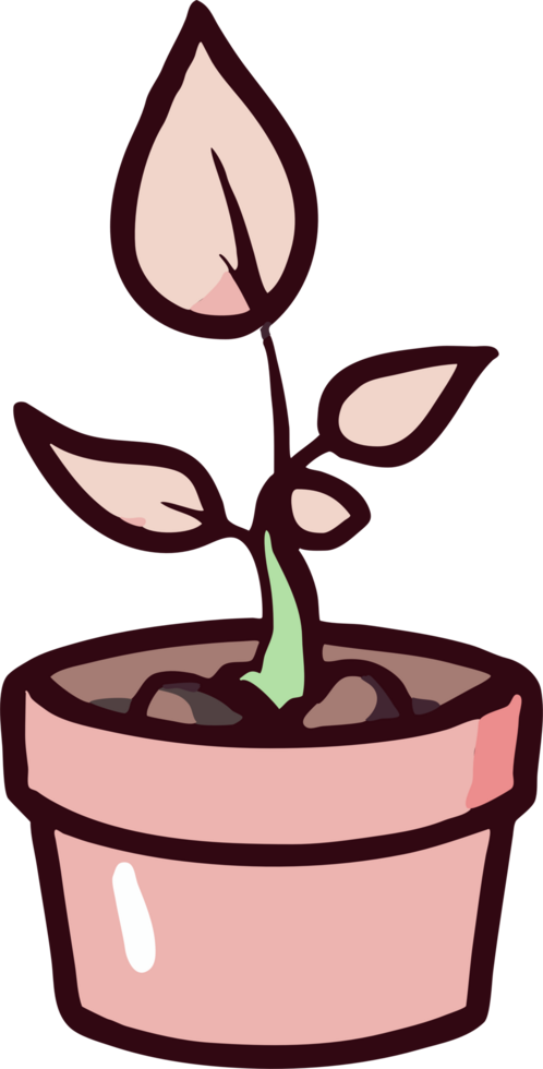 Plant growing png graphic clipart design 23743672 PNG Plant growing png graphic clipart design 23743672 PNG