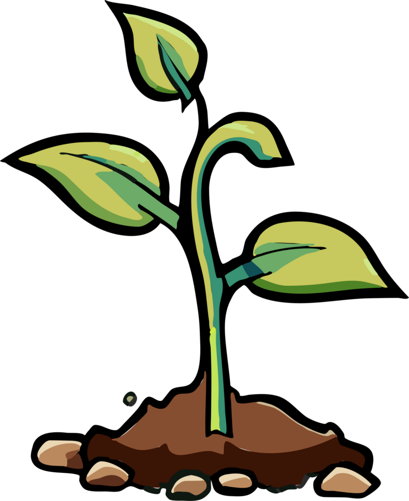 Plant growing png graphic clipart design 23743683 PNG Plant growing png graphic clipart design 23743683 PNG
