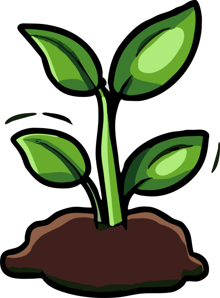 Plant Clip Art