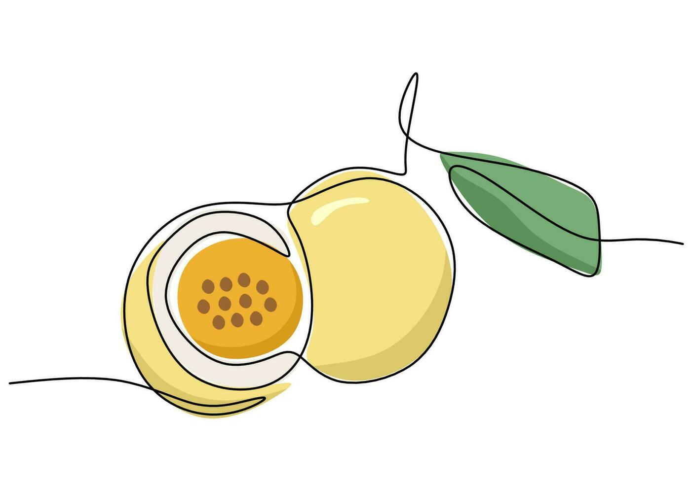 Passion Fruit Continuous One Line Drawing Fruit Vector Illustration