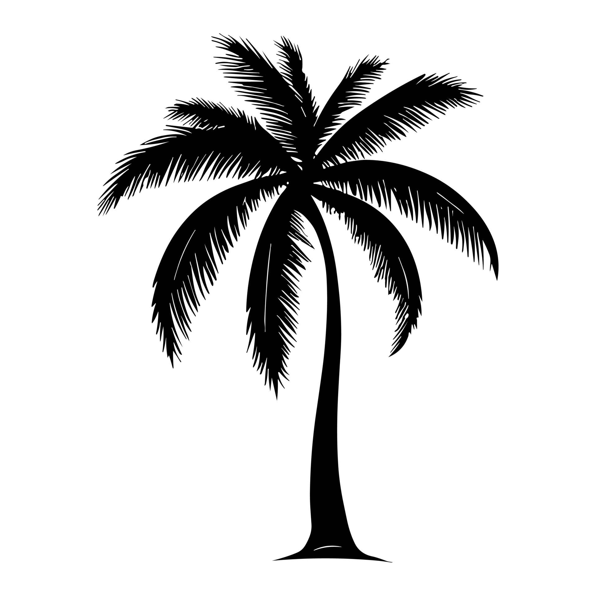 Coconut Tree black and white icon png clipart transparent background ... Coconut Tree black and white icon png clipart transparent background ...