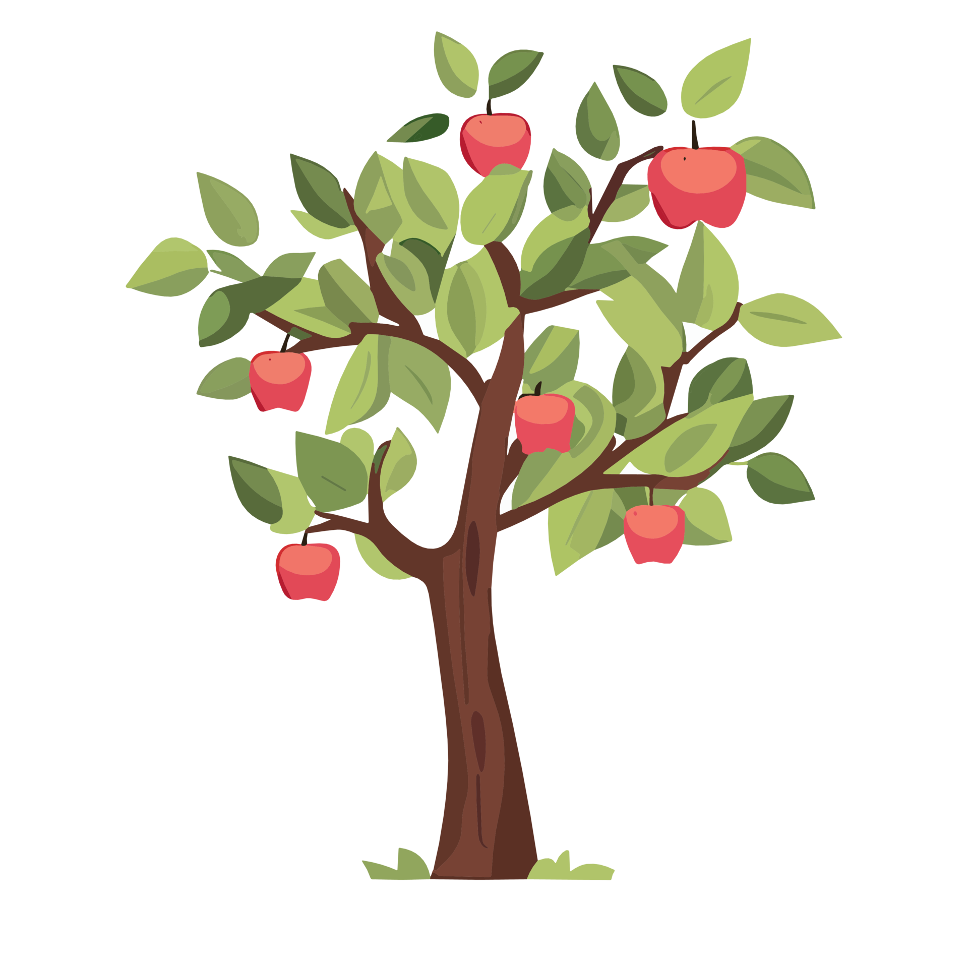 Apple Tree png clipart transparent background free 23790905 PNG