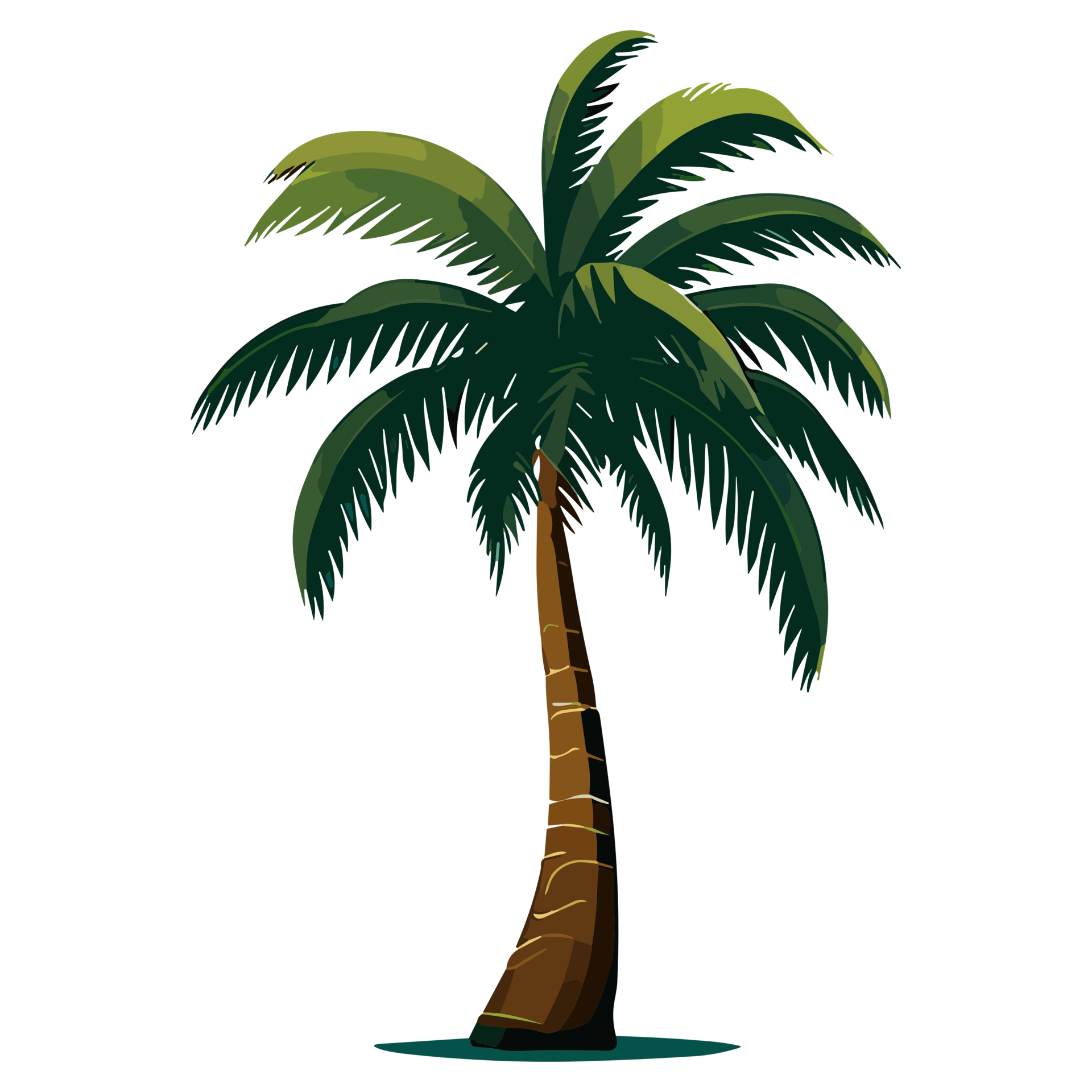 Illustration Coconut Tree png clipart transparent background free ...