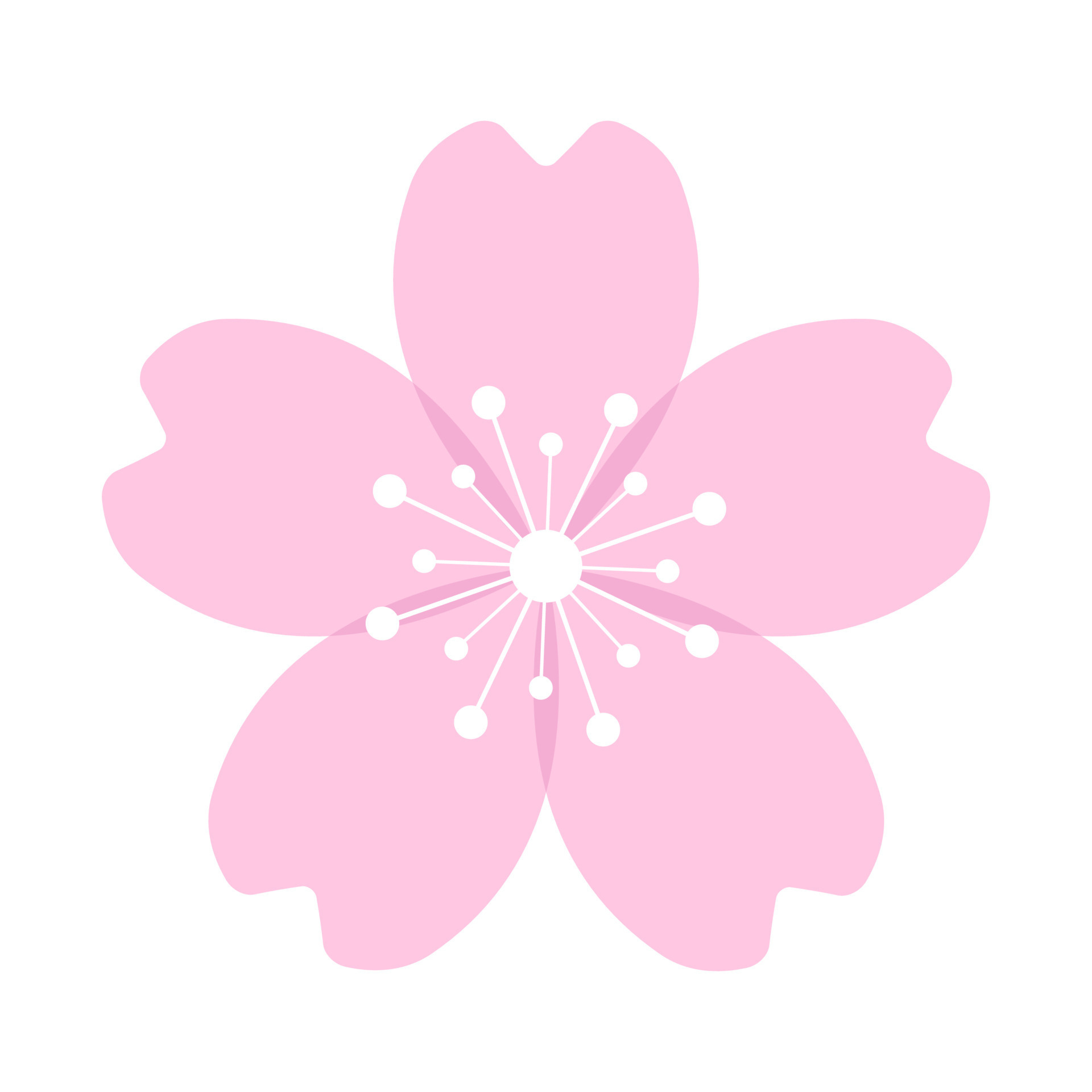 Cherry blossom flower or sakura flat icon. Sakura icon. Pink cherry ... Cherry blossom flower or sakura flat icon. Sakura icon. Pink cherry ...