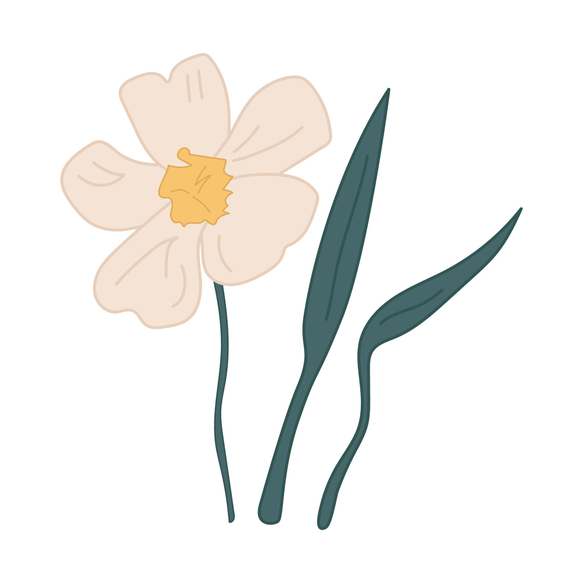 Spring flowers. Summer and spring blossom forest and garden flowers ...