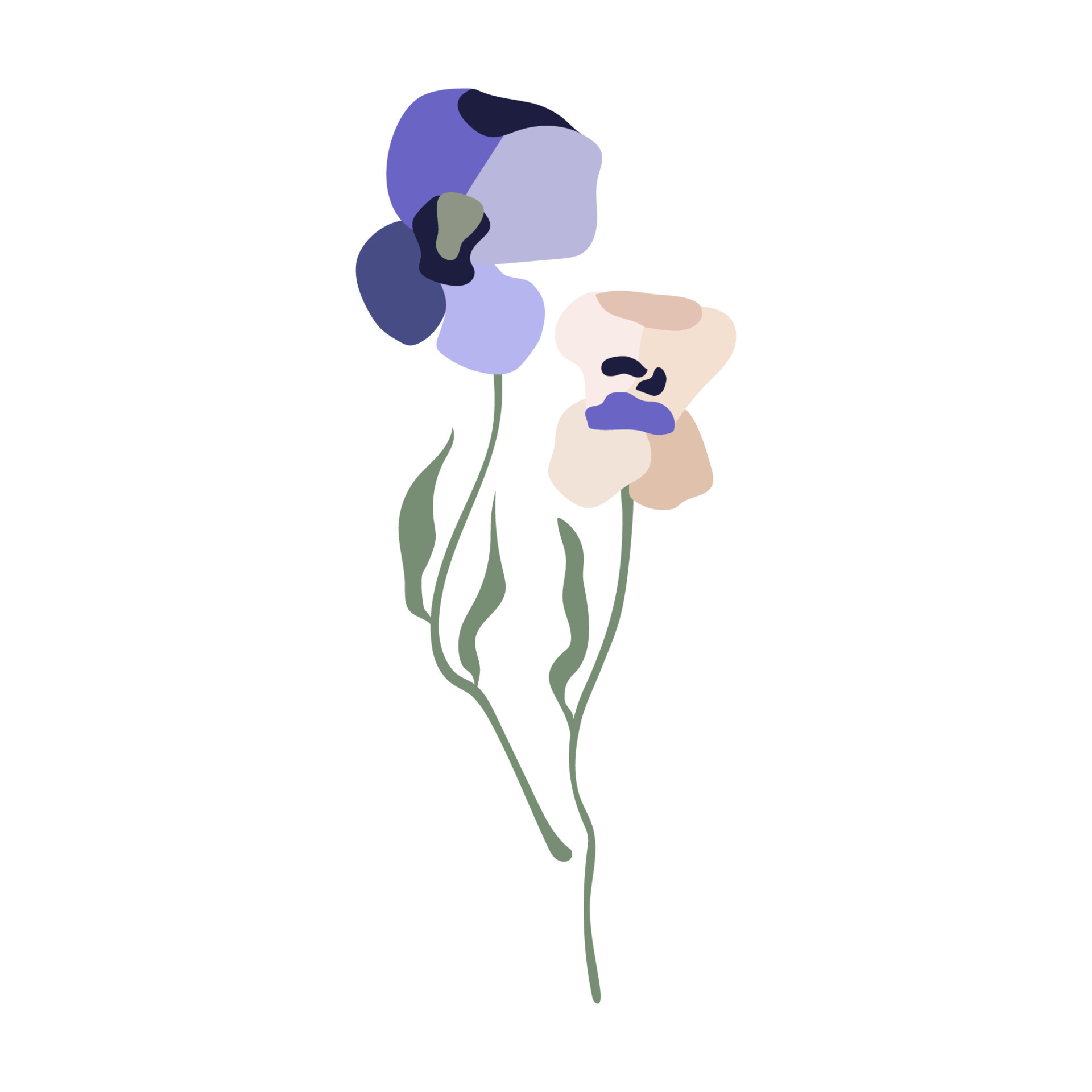 Spring flowers. Summer and spring blossom forest and garden flowers ...