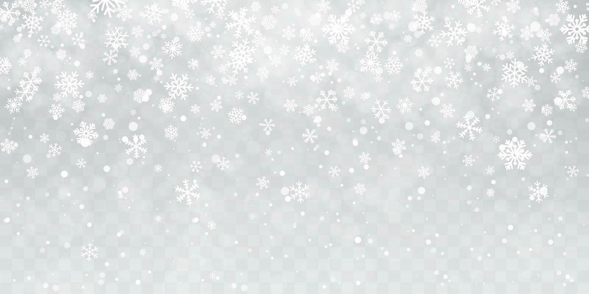 Christmas snow. Heavy snowfall. Falling snowflakes on transparent background. White snowflakes ...