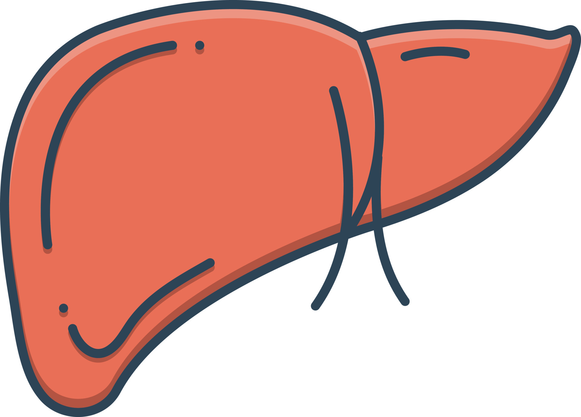 color icon for hepatology 23817852 Vector Art at Vecteezy color icon for hepatology 23817852 Vector Art at Vecteezy