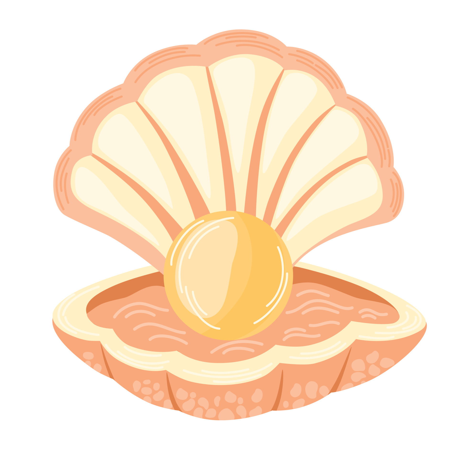 Clam shell with pearl. Sea Shell and ocean animals. Vector hand draw ... Clam shell with pearl. Sea Shell and ocean animals. Vector hand draw ...