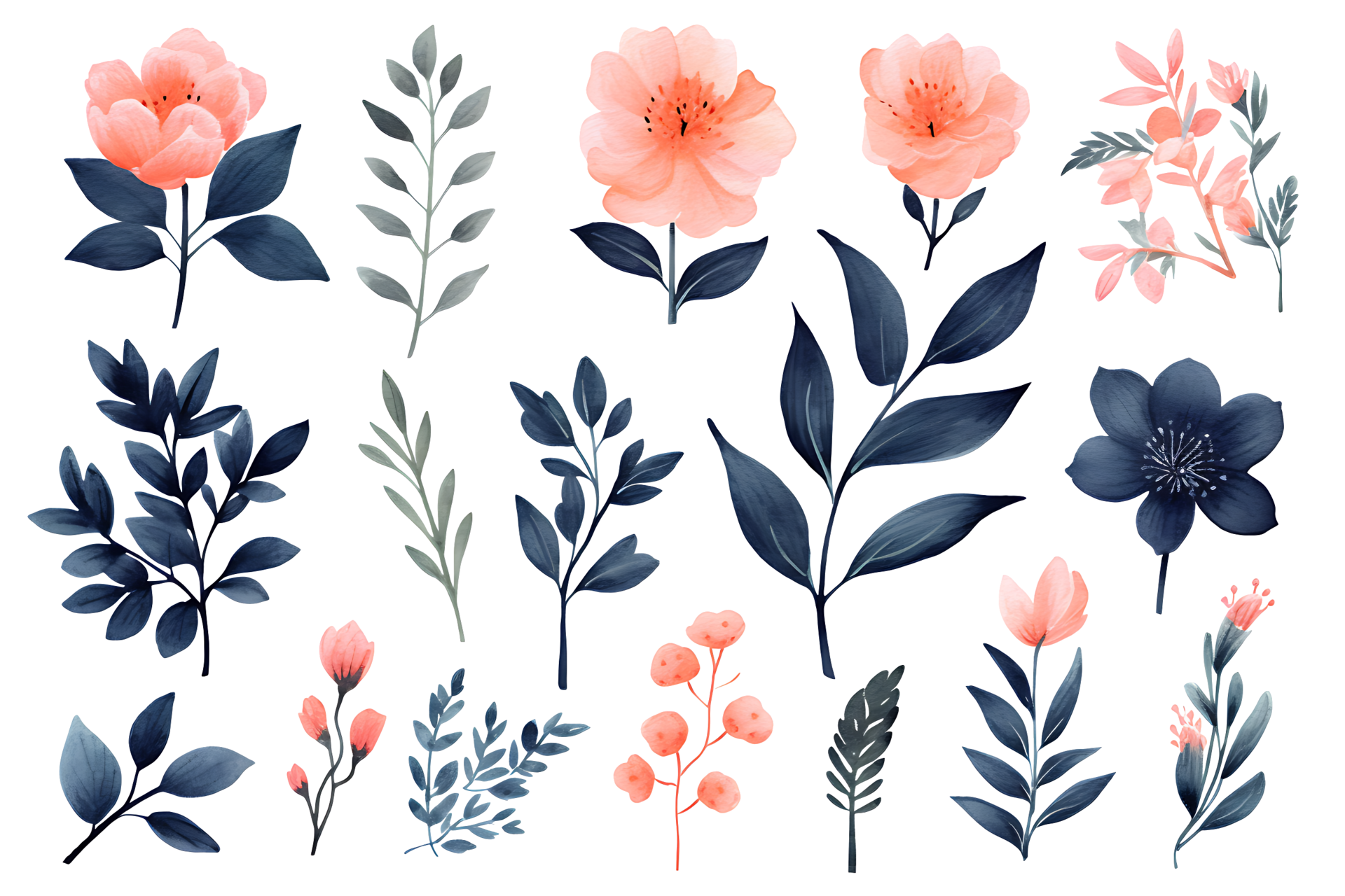 Beautiful Set Watercolor Flower And Leaves Element Collection 23842026 Png