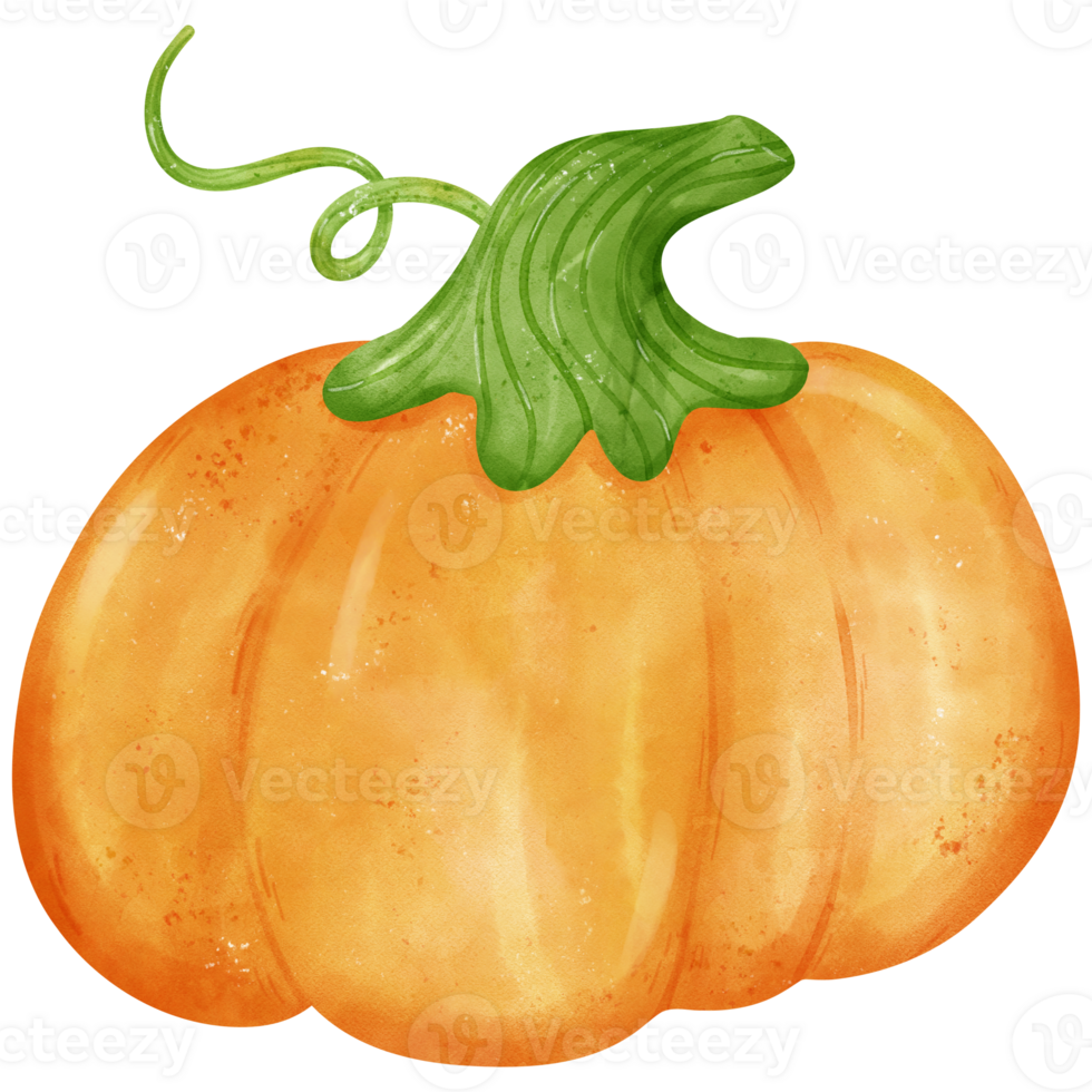 Cute Halloween Orange Pumpkin Fruit Cartoon Watercolour Hand Drawing 23869989 Png