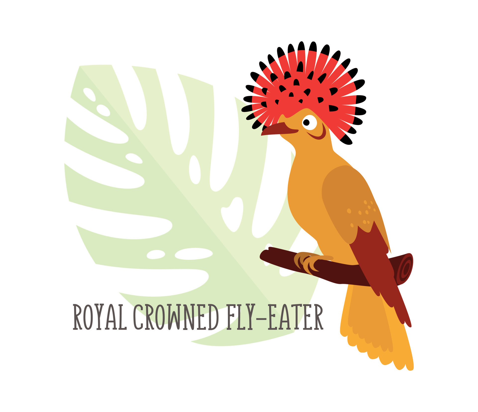 Vector Tropical Bird 23877596 Vector Art At Vecteezy