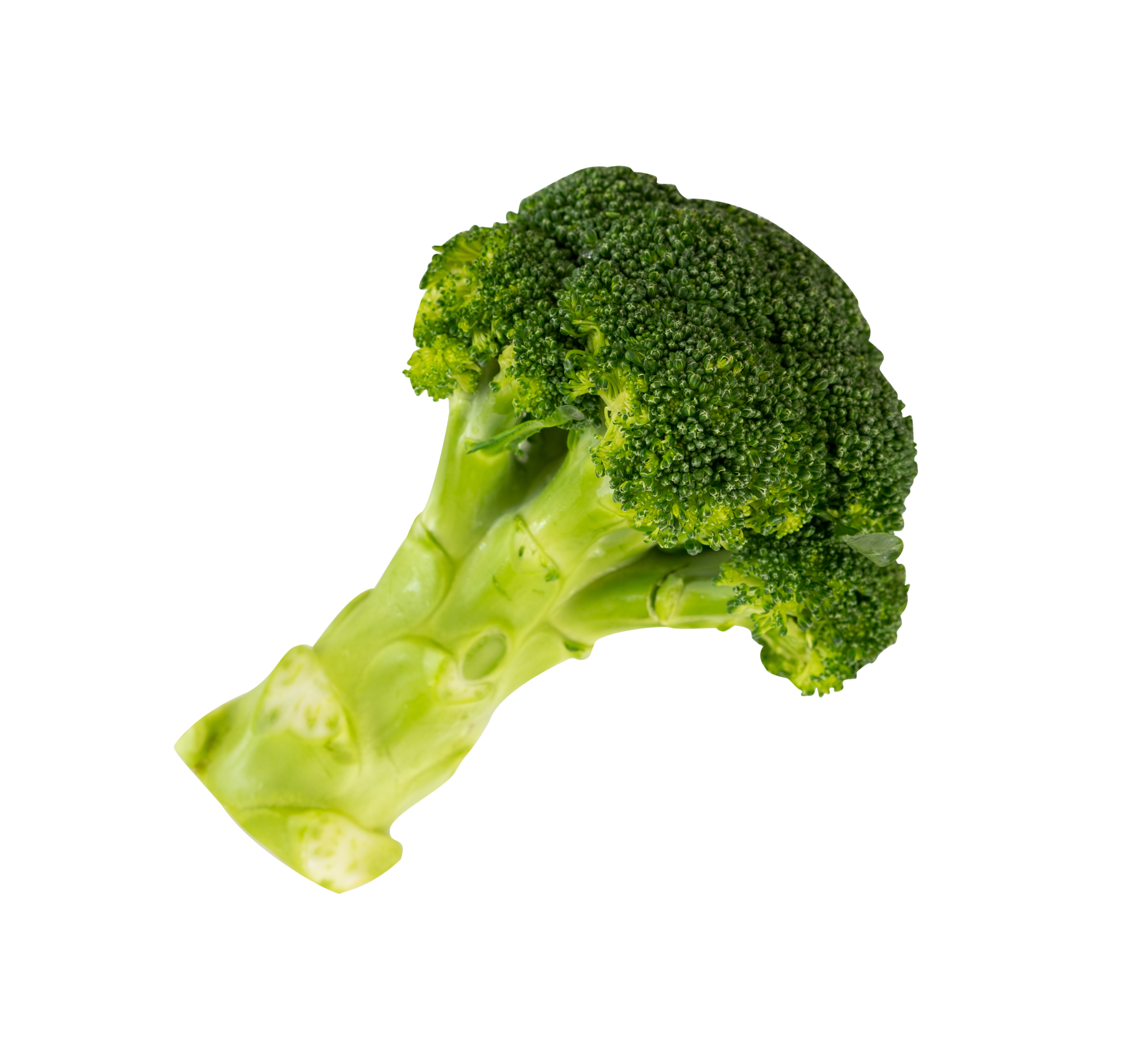 fresh broccoli vegetable isolated element 23932489 PNG fresh broccoli vegetable isolated element 23932489 PNG