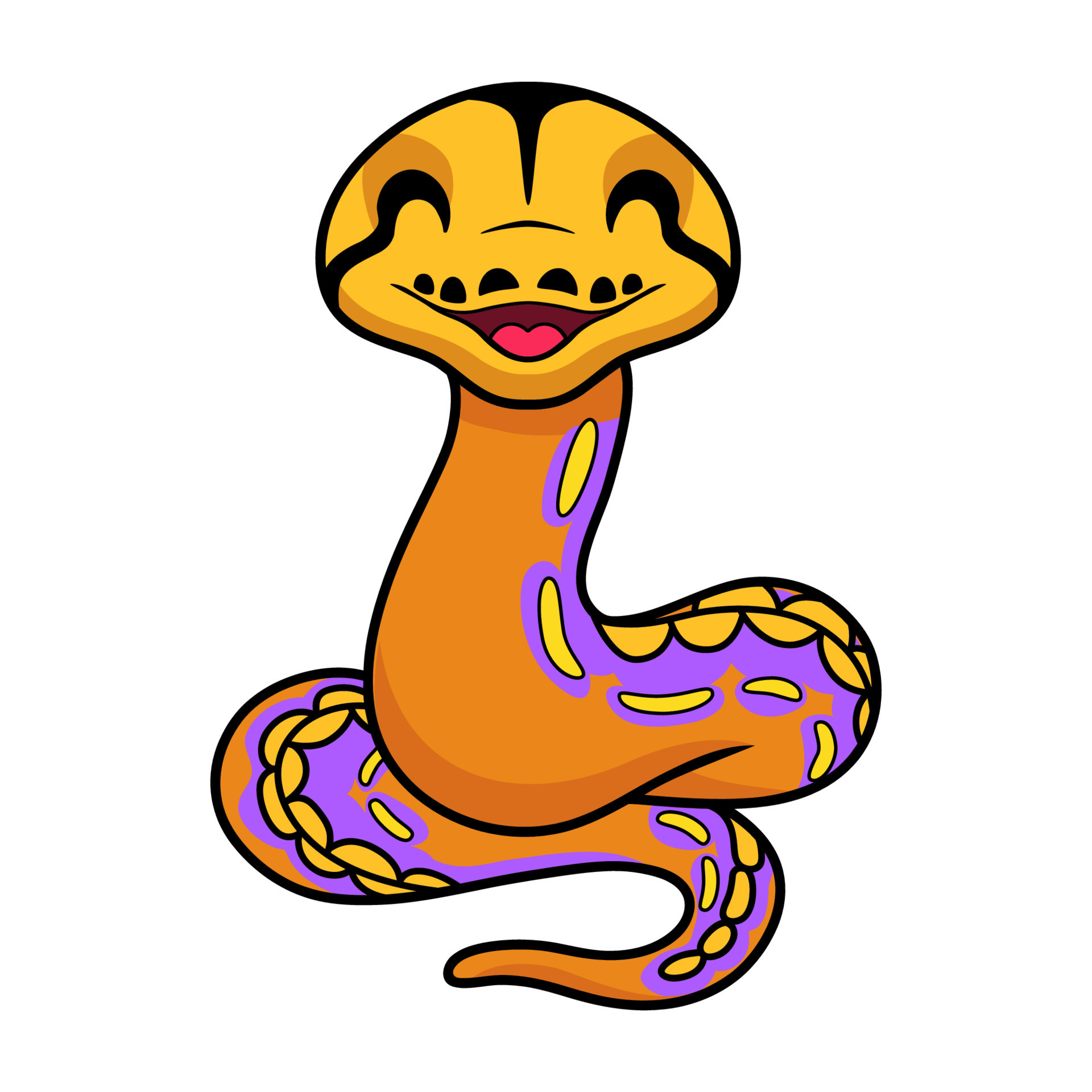 Albino Tiger Reticulated Python