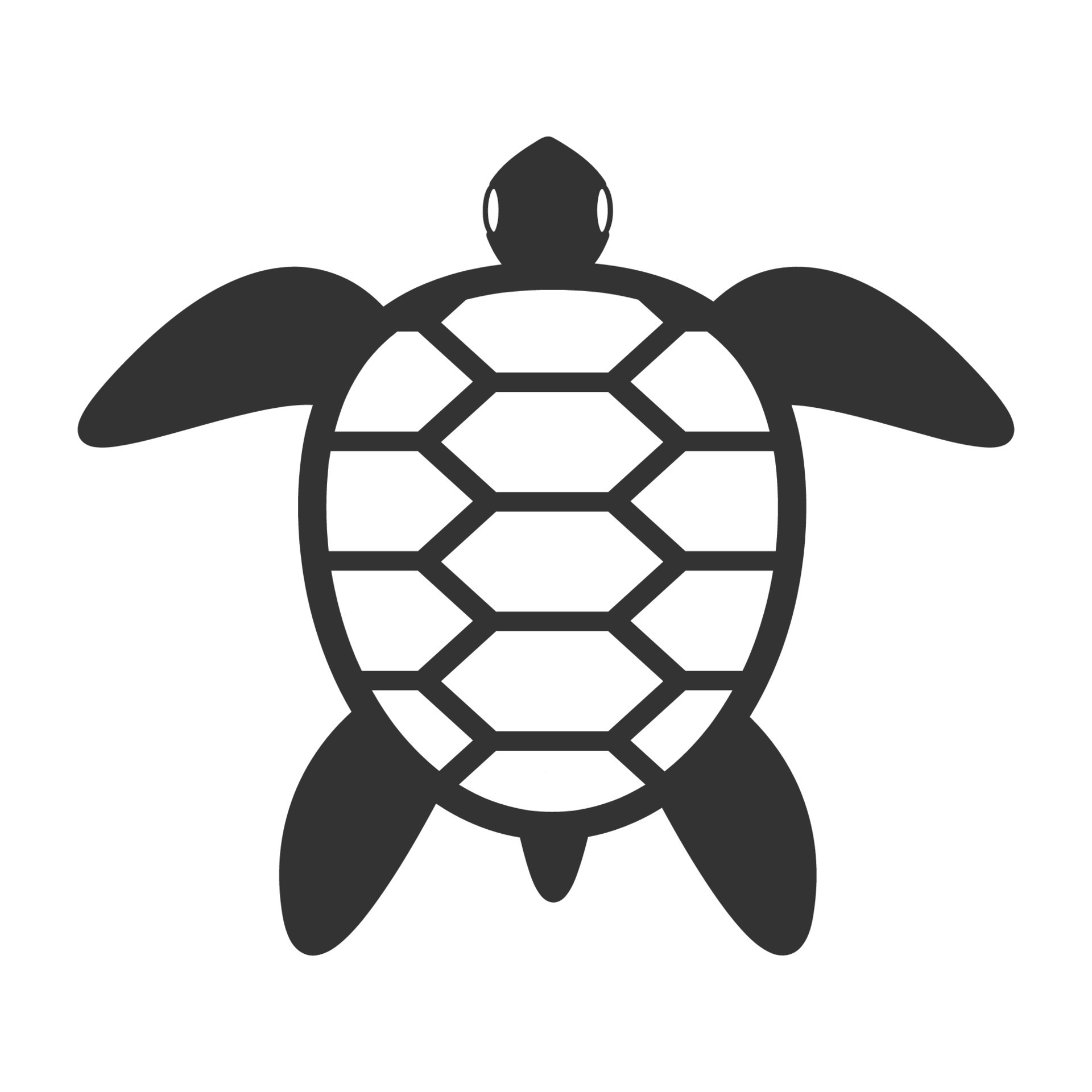 turtle vector illustration design 23969749 Vector Art at Vecteezy