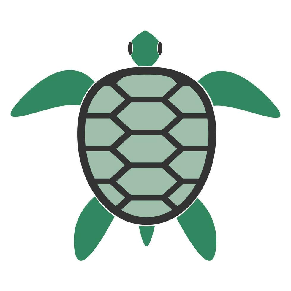 turtle vector illustration design 23969910 Vector Art at Vecteezy