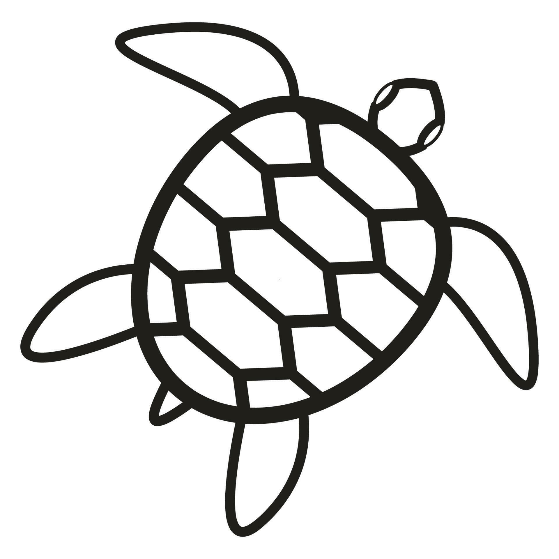 turtle vector illustration design 23969921 Vector Art at Vecteezy