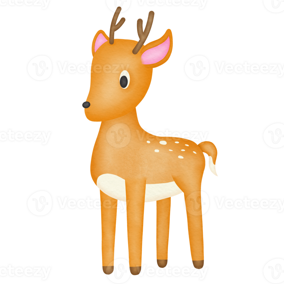 Cute Deer Watercolor Illustration 23980719 Png