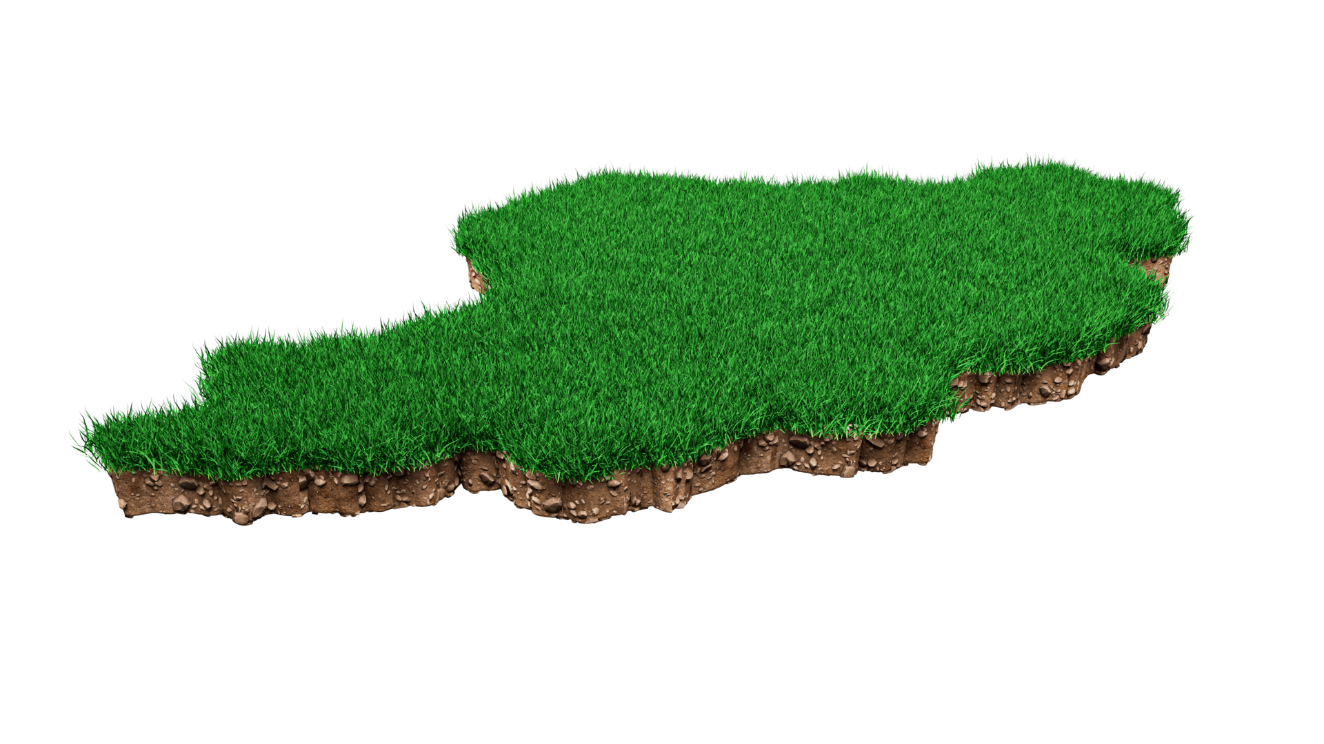 Grass Texture Map