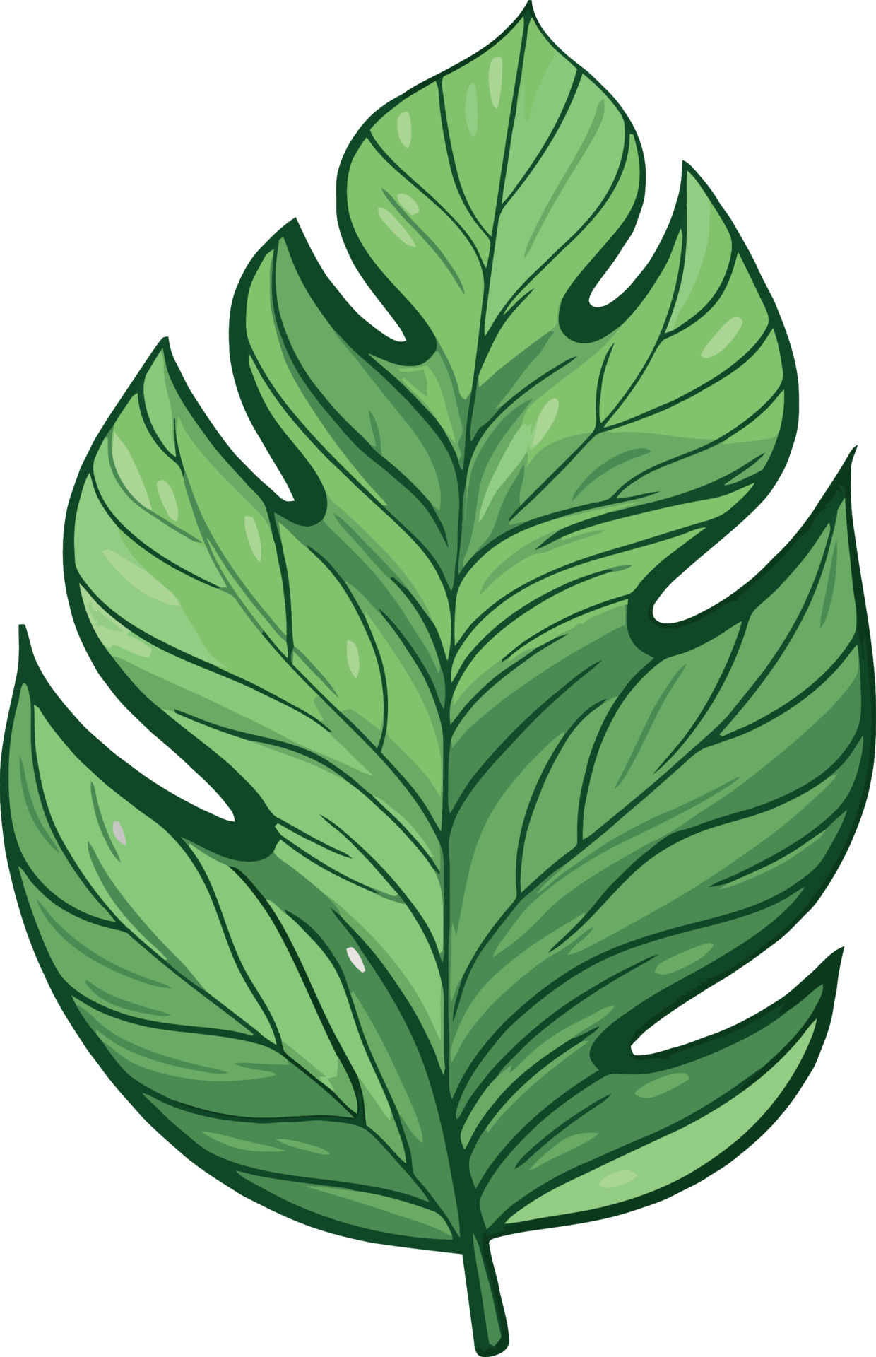 Cartoon Green Leaf 23988058 Vector Art at Vecteezy