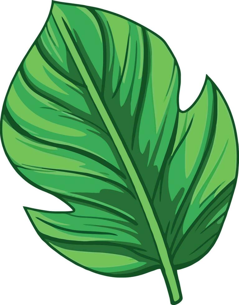 Cartoon Green Leaf 23988060 Vector Art at Vecteezy