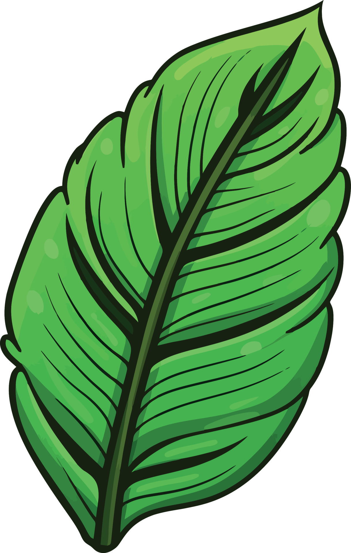 hoja verde de dibujos animados 23988063 Vector en Vecteezy hoja verde de dibujos animados 23988063 Vector en Vecteezy