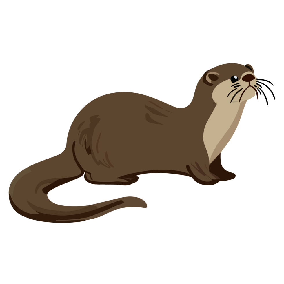 Otter clipart transparent background 24029765 PNG Otter clipart transparent background 24029765 PNG