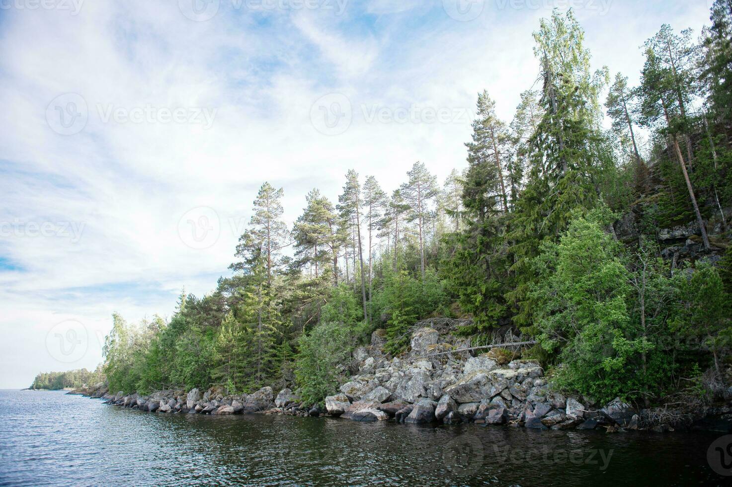 Rocky and stone river bank with fir trees. 24037457 Stock Photo at Vecteezy Rocky and stone river bank with fir trees. 24037457 Stock Photo at Vecteezy