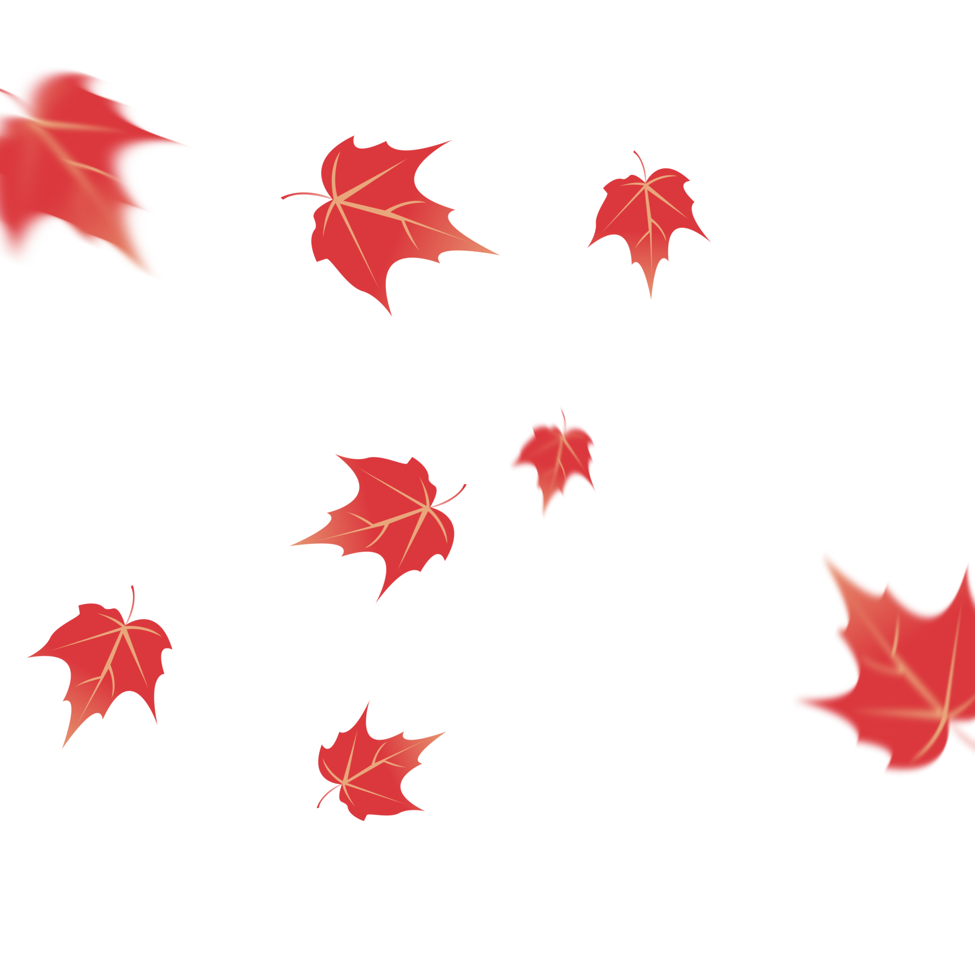 Falling Red Leaves 24043866 Png