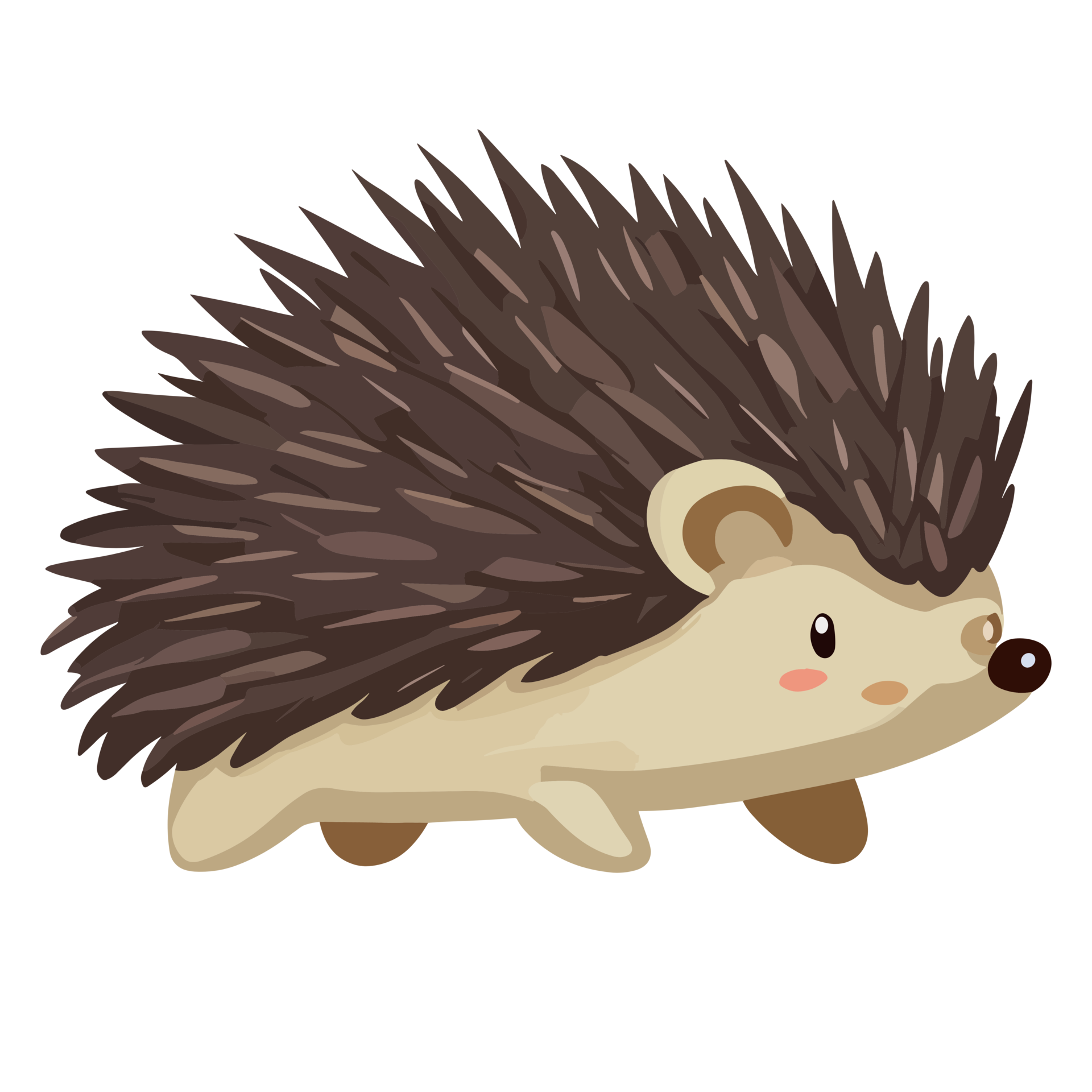 Cute Hedgehog Clipart