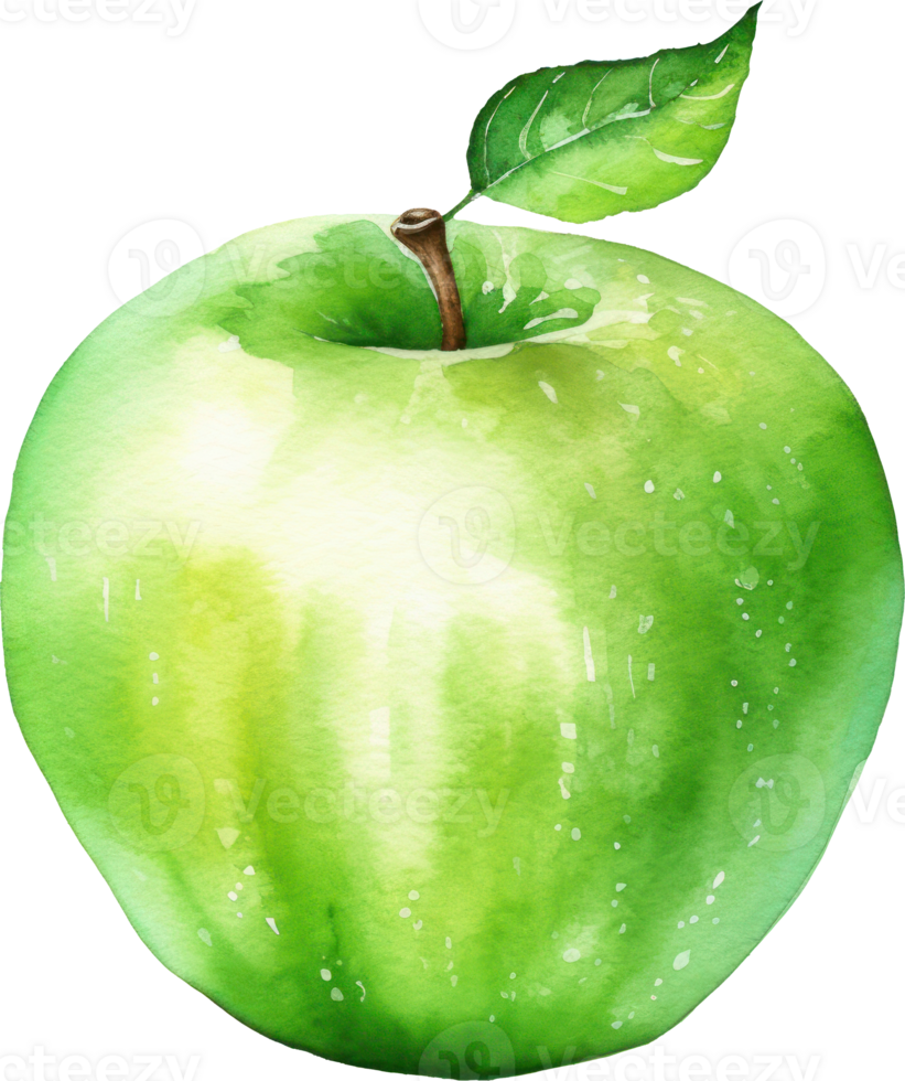 Green Apple Watercolor Illustration. 24045817 PNG