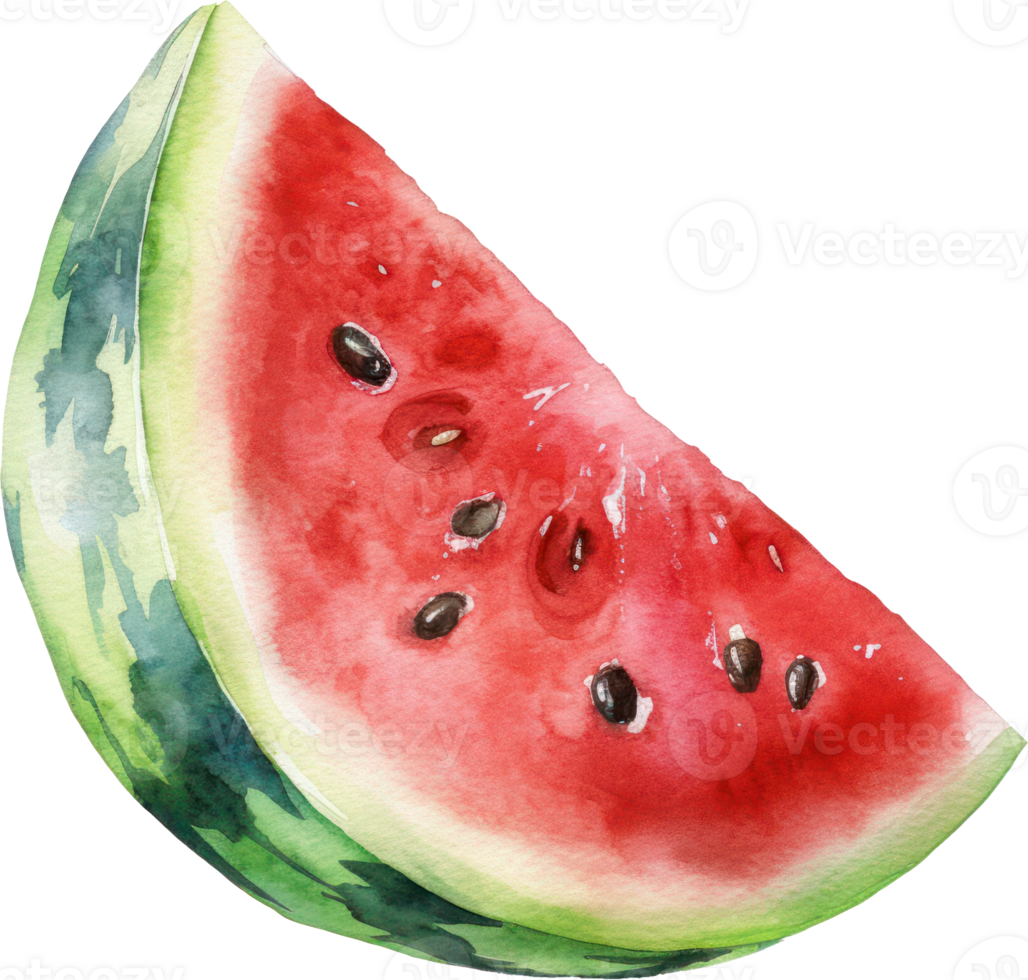 Watermelon Watercolor Illustration 24045857 Png