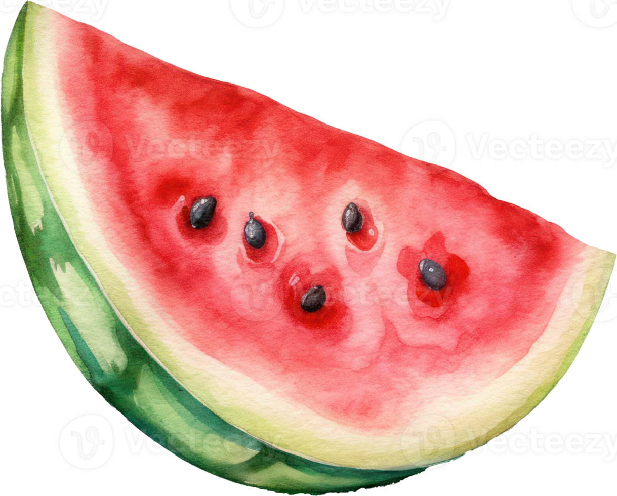 Watermelon Watercolor Illustration. 24046137 PNG Watermelon Watercolor Illustration. 24046137 PNG