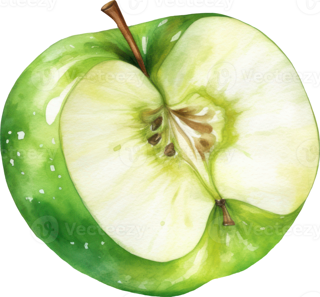 Green Apple Watercolor Illustration. 24046138 PNG