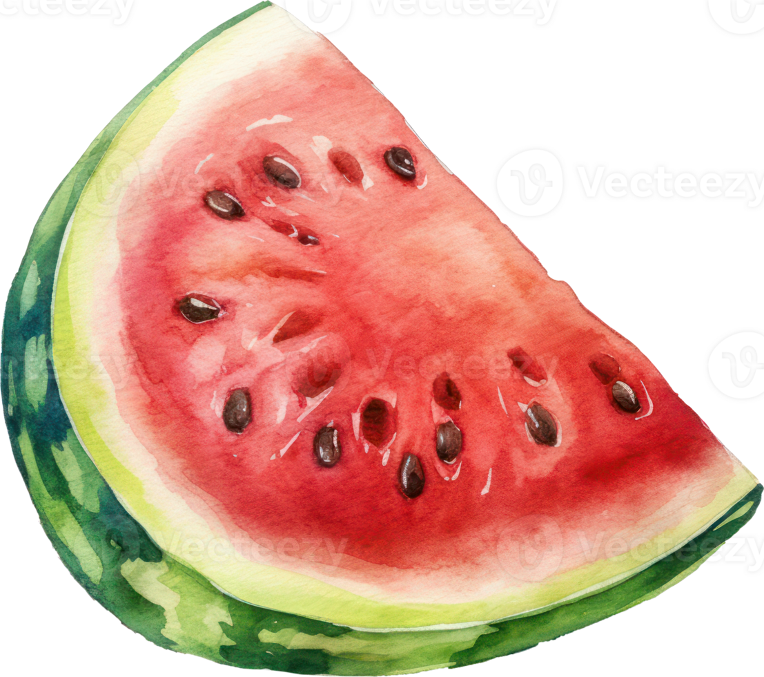Watermelon Watercolor Illustration. 24046142 PNG Watermelon Watercolor Illustration. 24046142 PNG
