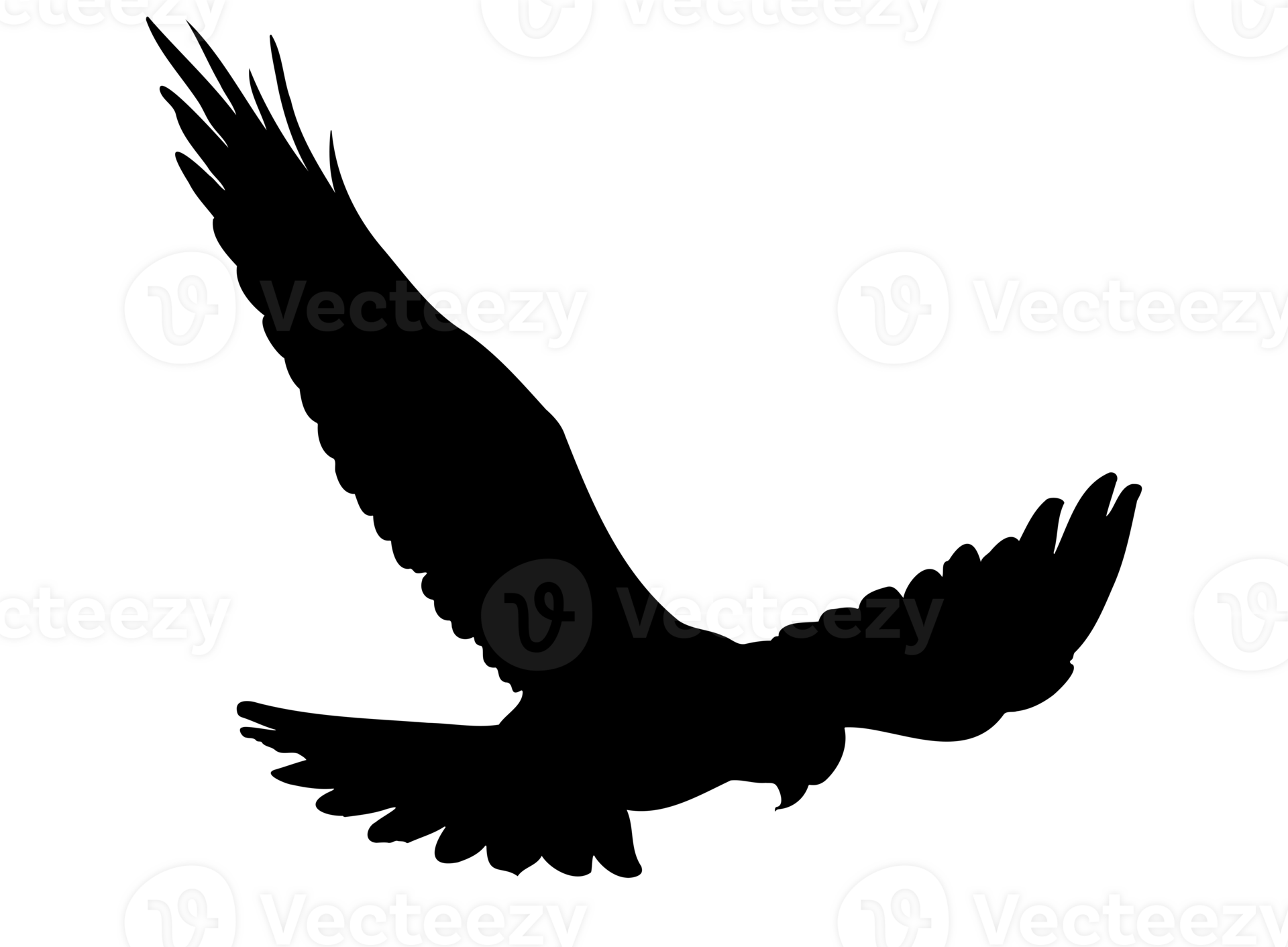 Silhouette Of the Hawk Flying in the Sky Looking Down On Transparent ...