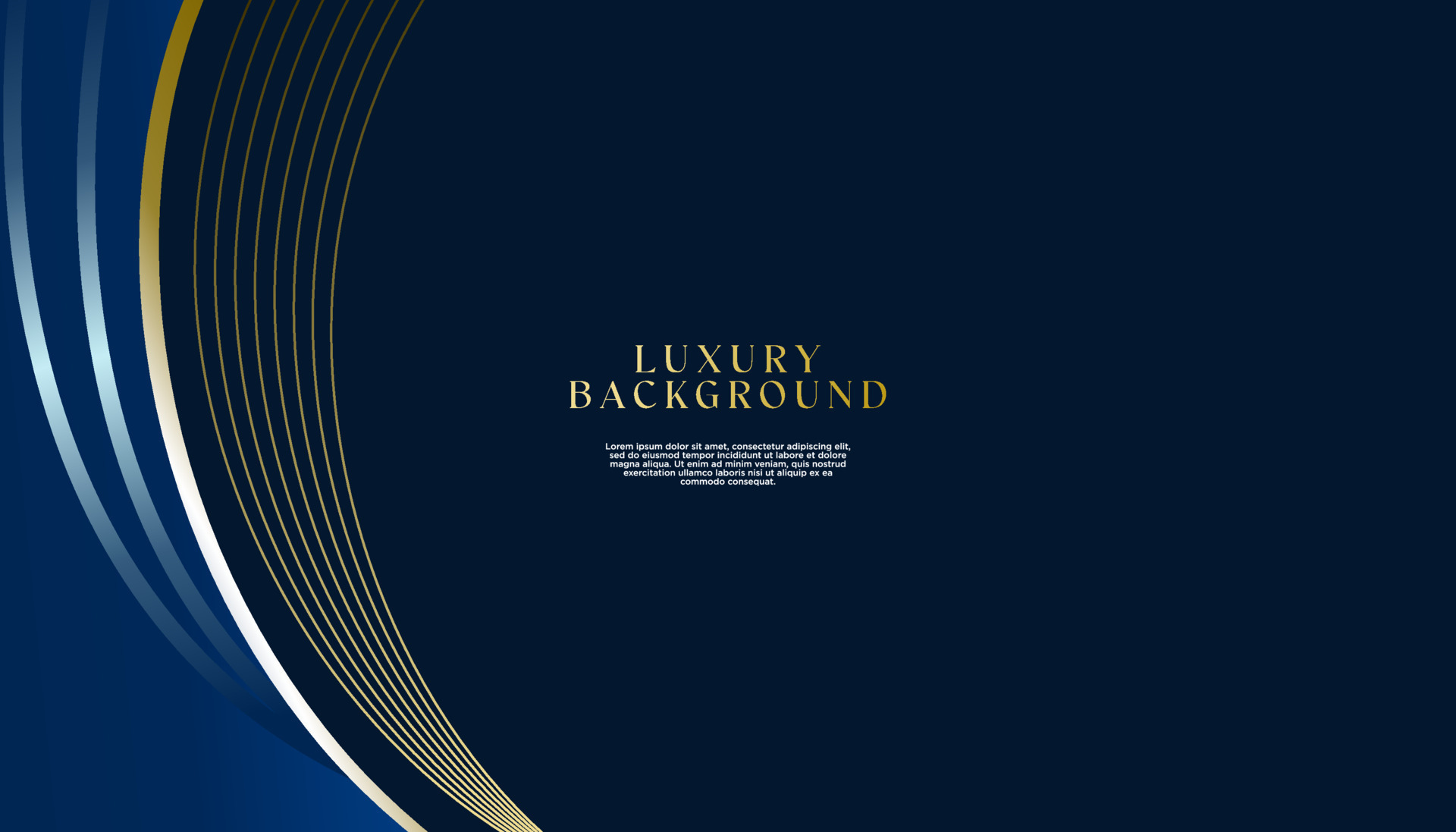 Dark Blue Curve Shape Abstract Template Premium Luxury Background With
