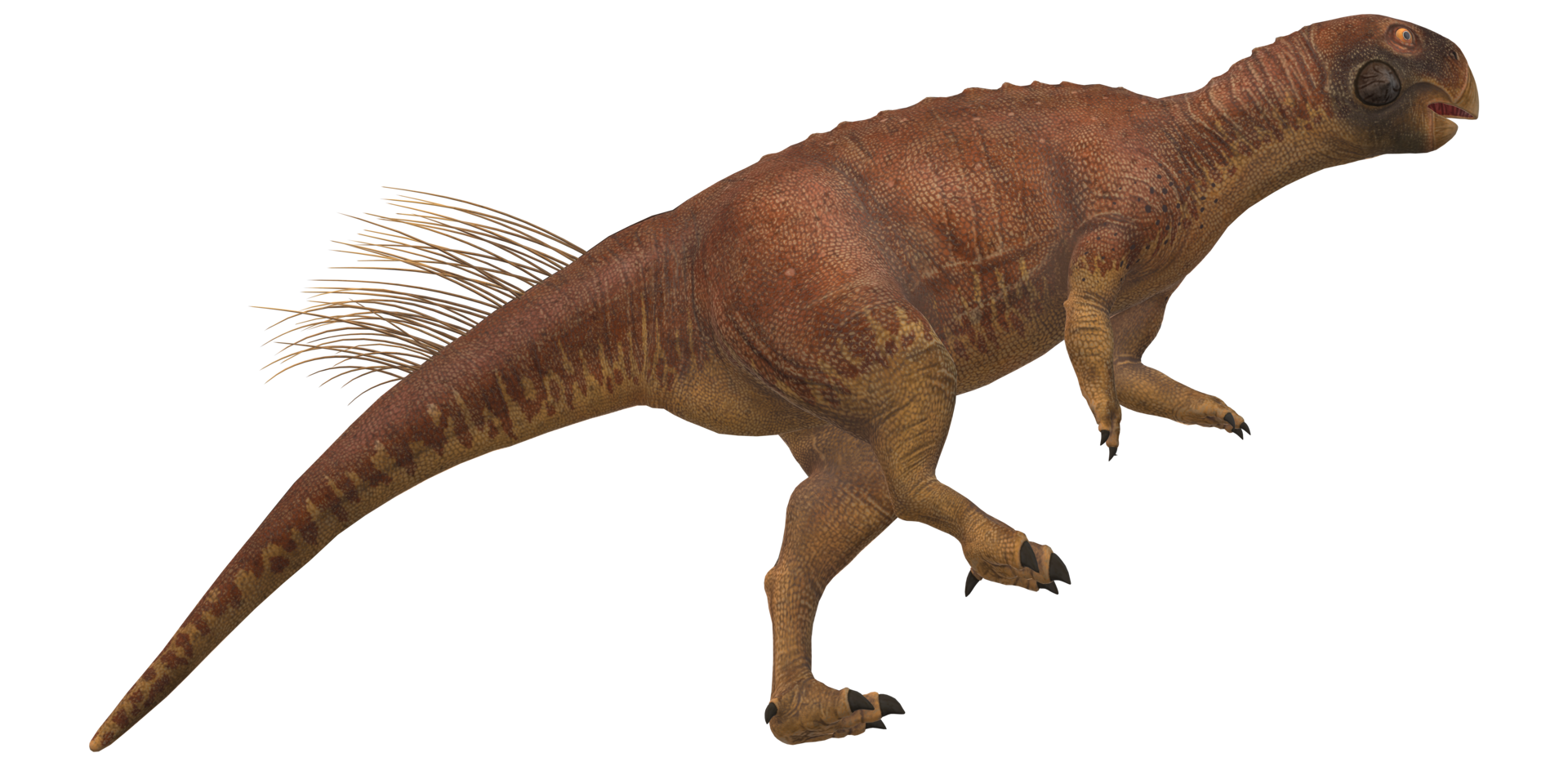Psittacosaurus isolated on a Transparent Background 24063818 PNG